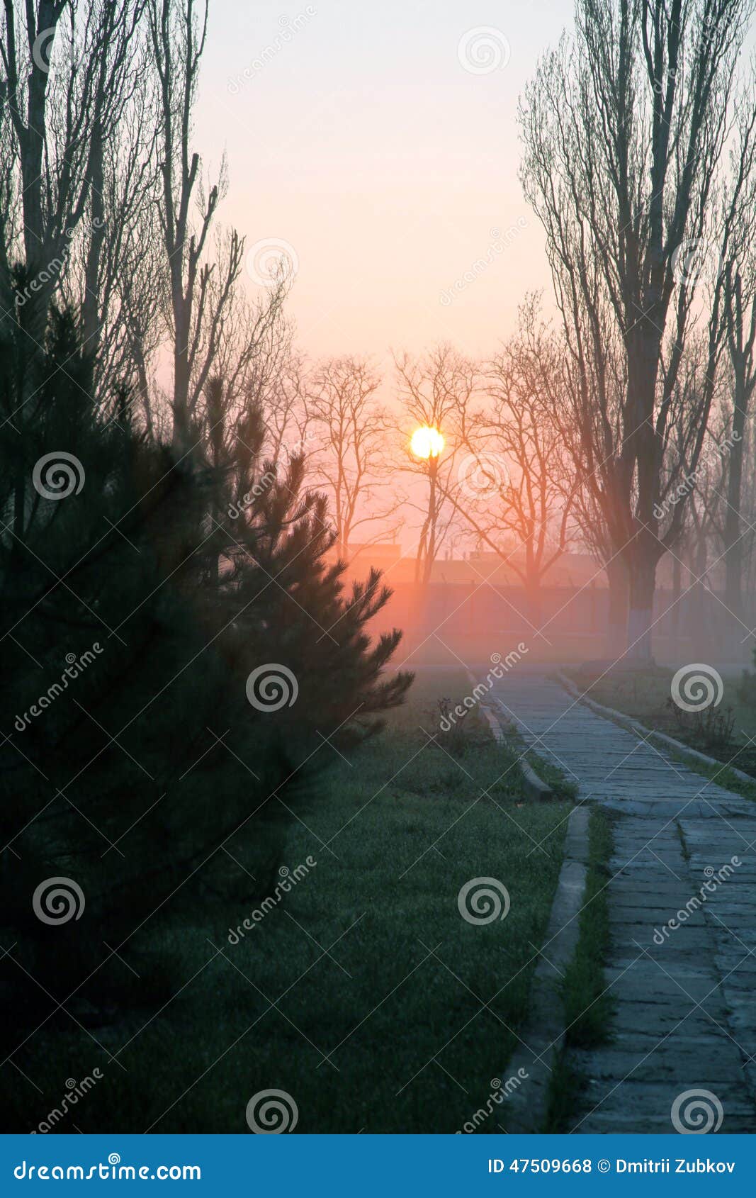 Sunset in the park stock photo. Image of landscape, autumn - 47509668