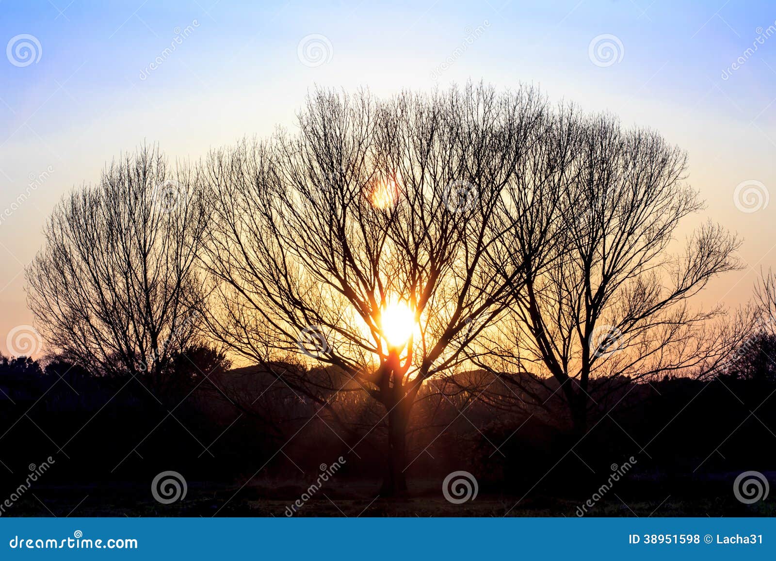 Sunset in the Park of the Caffarella Stock Photo - Image of hiking ...