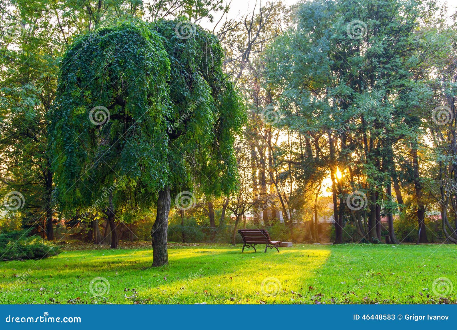 Sunset in park stock image. Image of garden, bench, park - 46448583