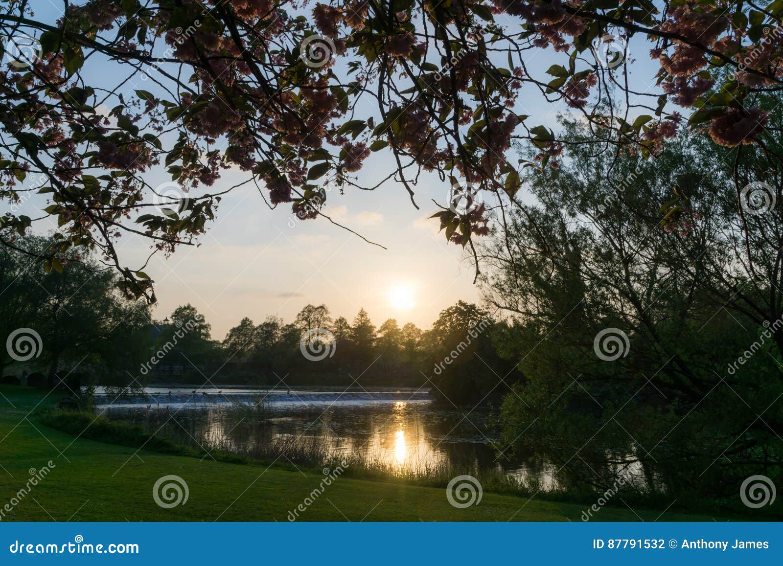 Sunset in a Park Over Looking a Lake Stock Photo - Image of duck, ducks ...