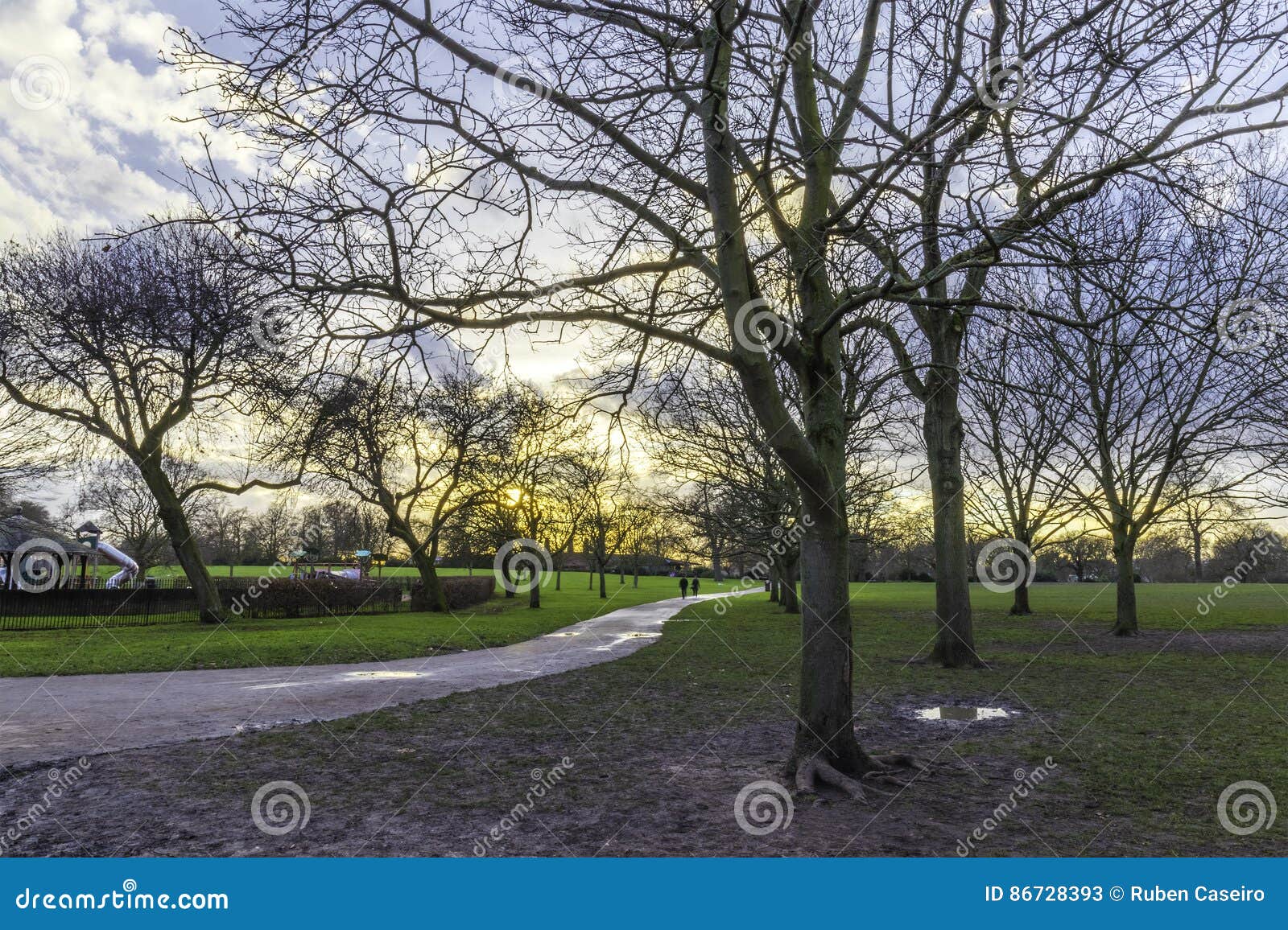 Sunset in the park stock image. Image of field, park - 86728393
