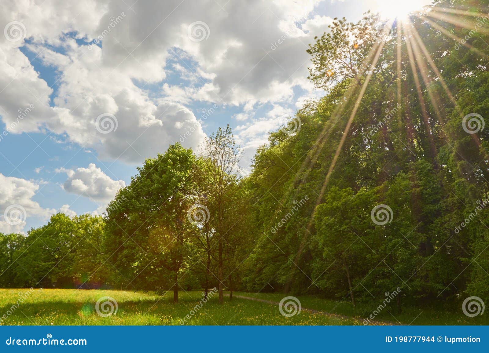 Sunset in the Park. Romantic Sunset in a Green Park with Trees Stock ...