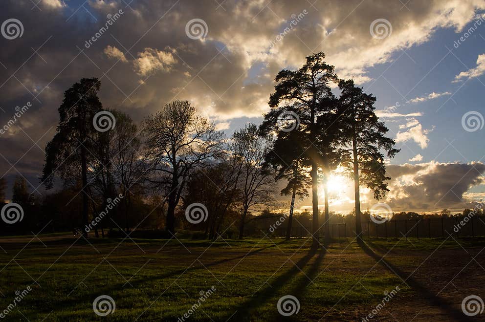 Sunset in the park stock photo. Image of park, peace - 79000836