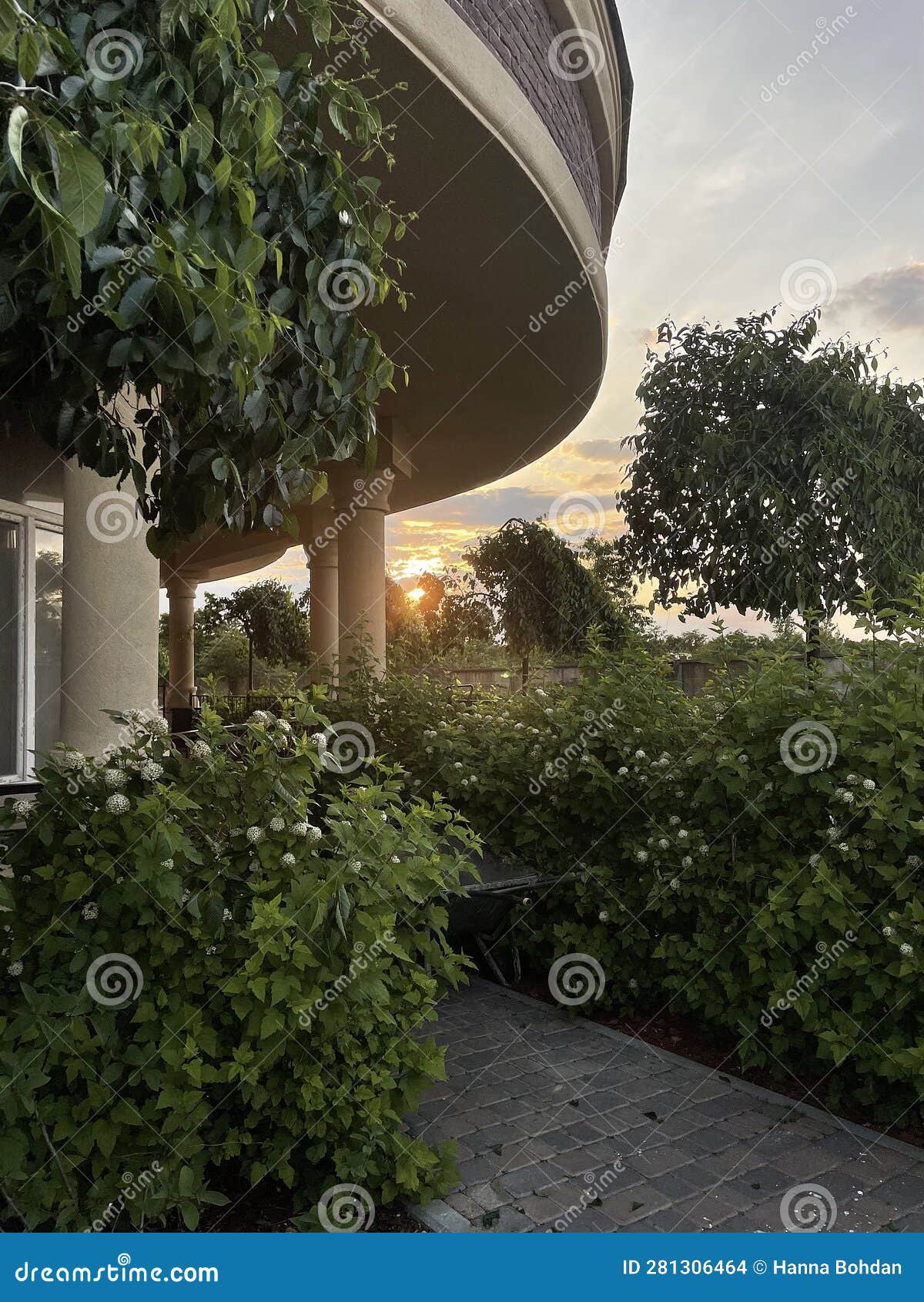 Sunset in the Park among Trees and Buildings Stock Photo - Image of ...