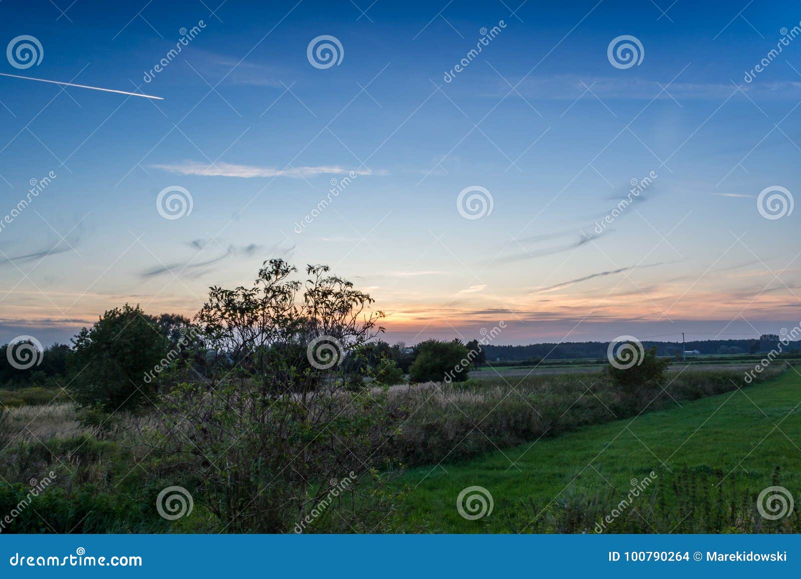 Sunset among pastures stock photo. Image of forest, banks - 100790264