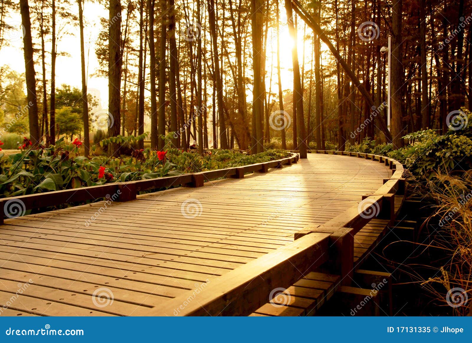 Sunset path stock image. Image of trees, light, color - 17131335