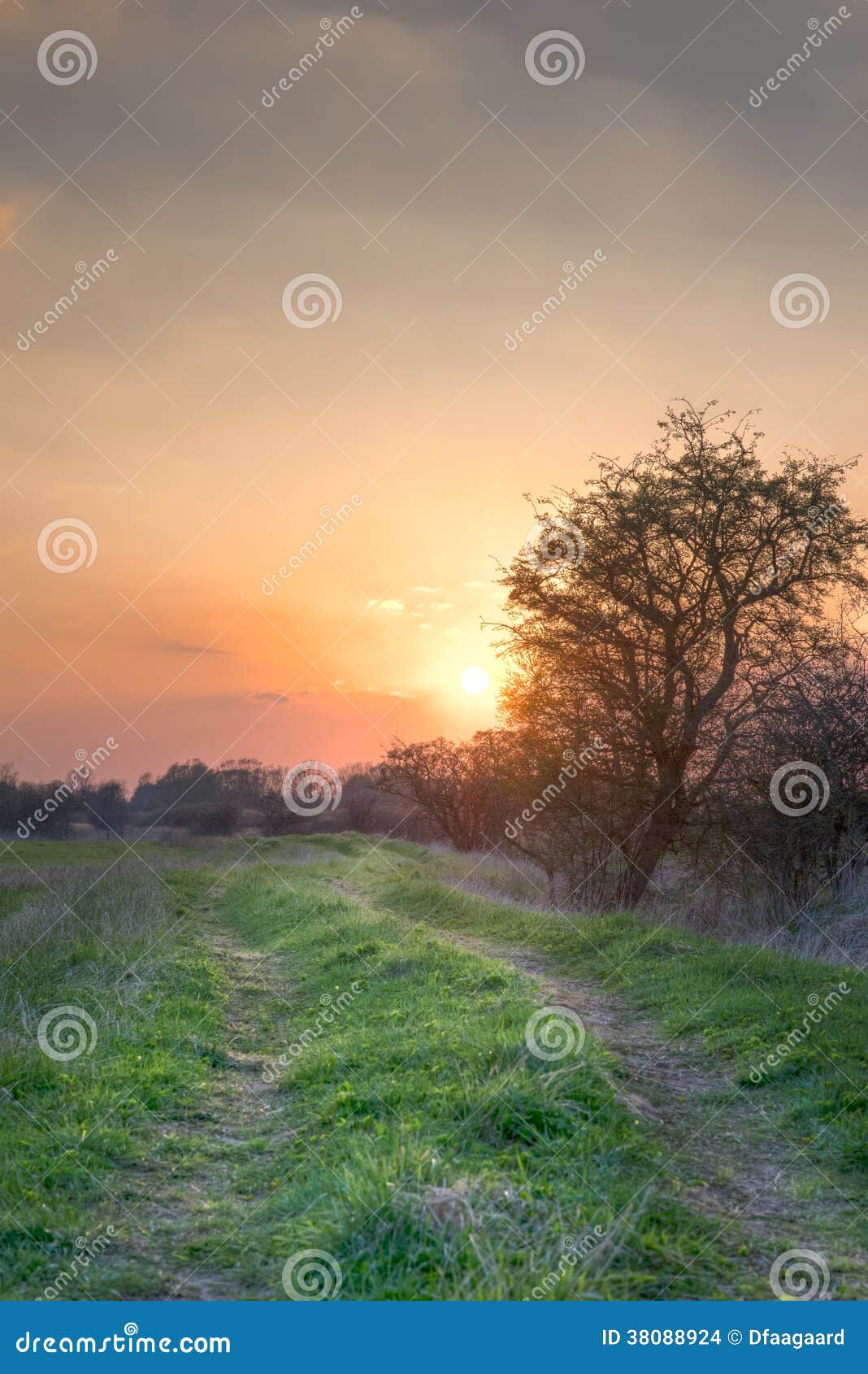 Sunset path stock photo. Image of serenity, grass, path - 38088924