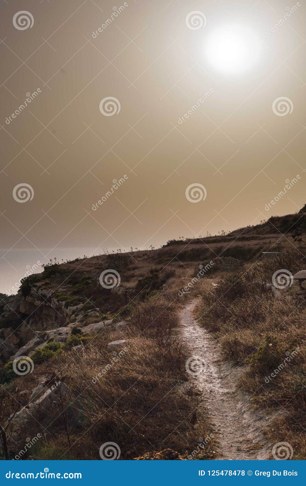 Sunset on path stock photo. Image of picturesque, sunset - 125478478