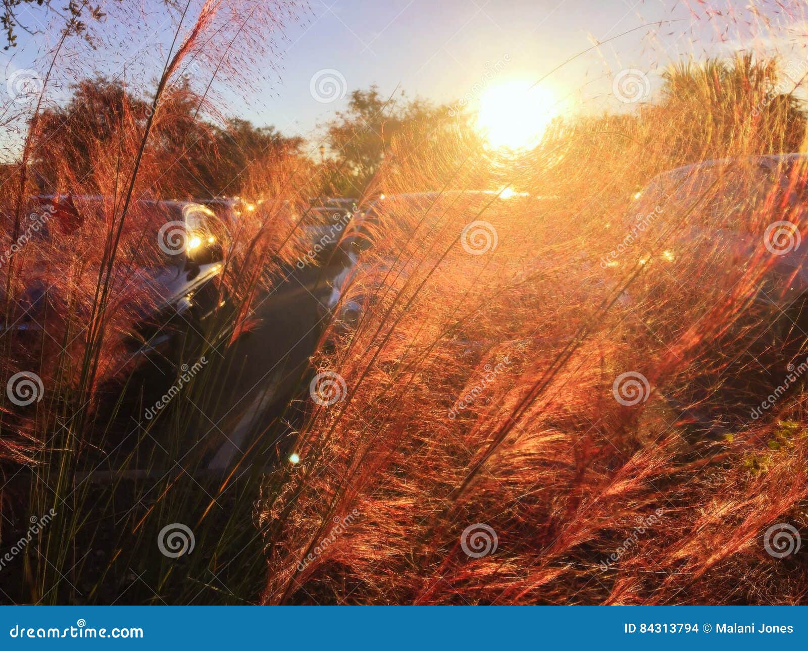 Sunset Patterns stock photo. Image of golden, pattern - 84313794