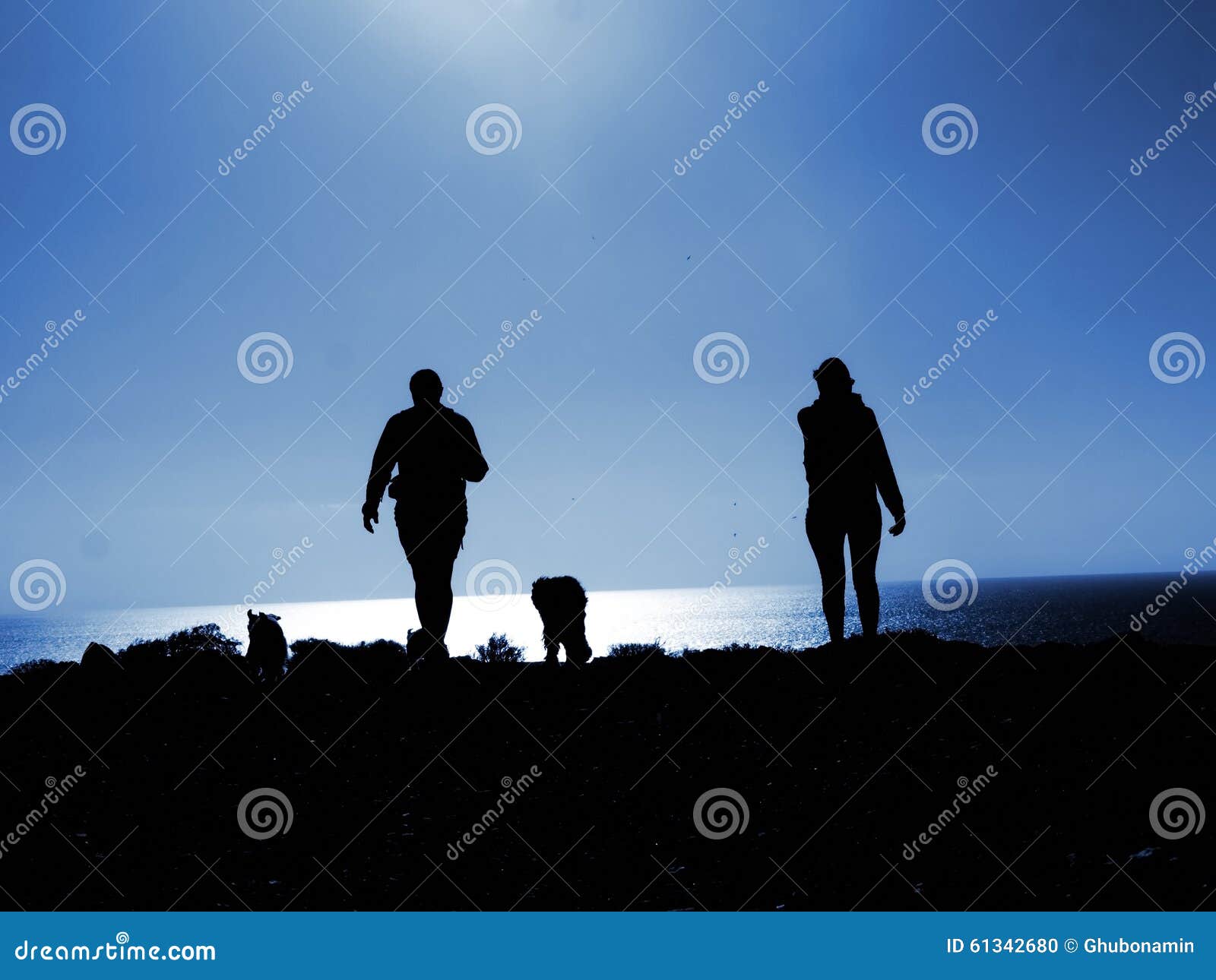 Sunset people dog stock photo. Image of lifestyle, summer - 61342680