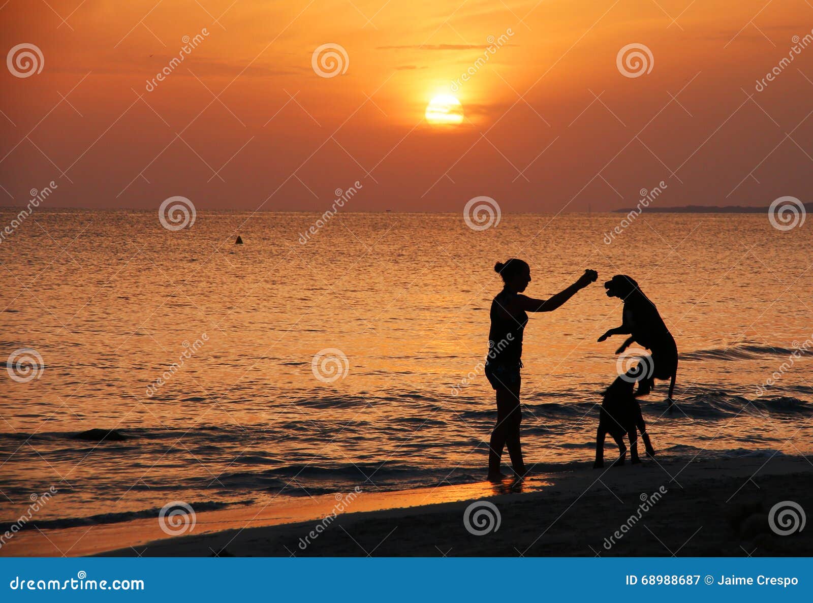 Sunset stock image. Image of play, summer, water, beach - 68988687