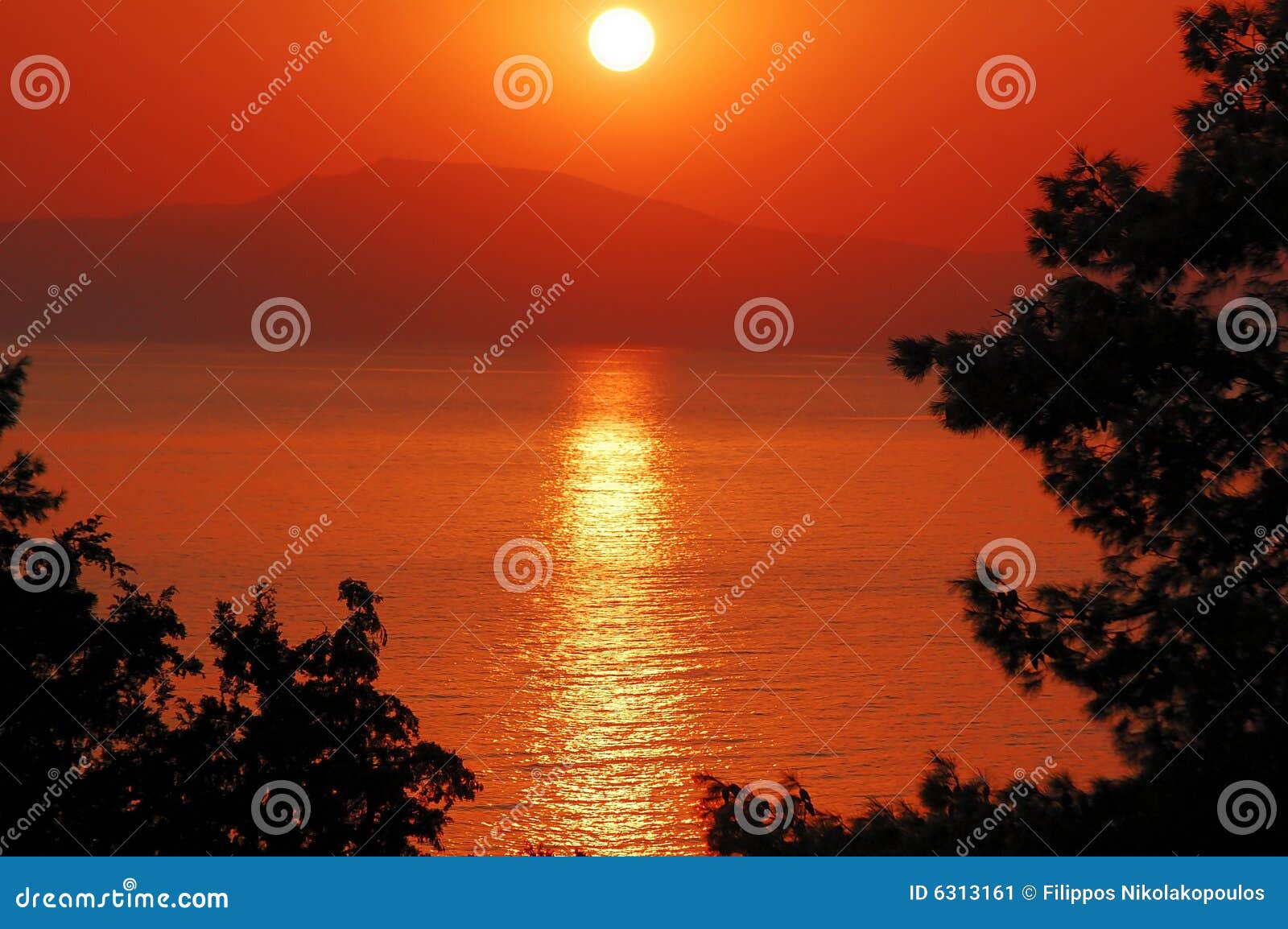 Sunset through pine trees stock image. Image of summer - 6313161