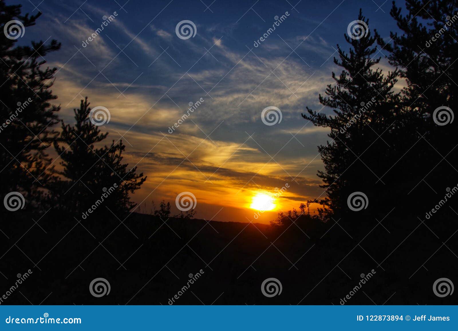 Sunset through the Pine Trees Stock Photo - Image of ...
