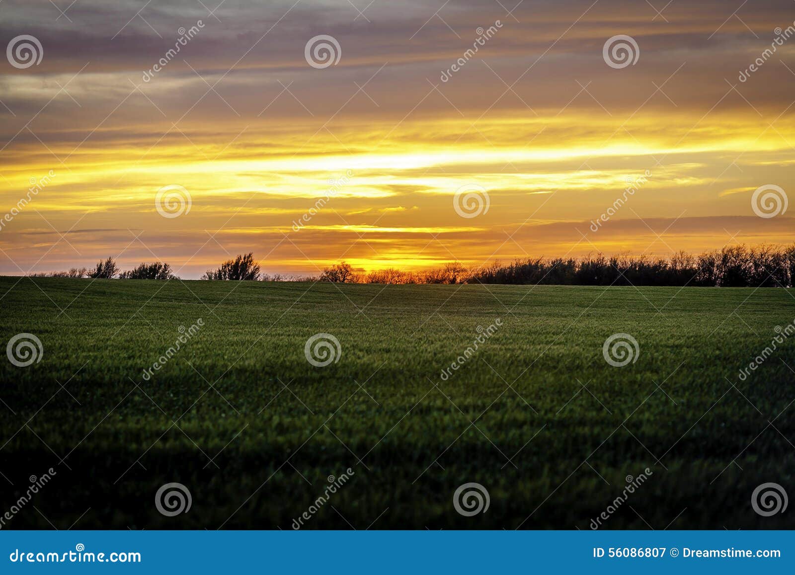 Sunset in the Plains stock image. Image of wheat, plains - 56086807