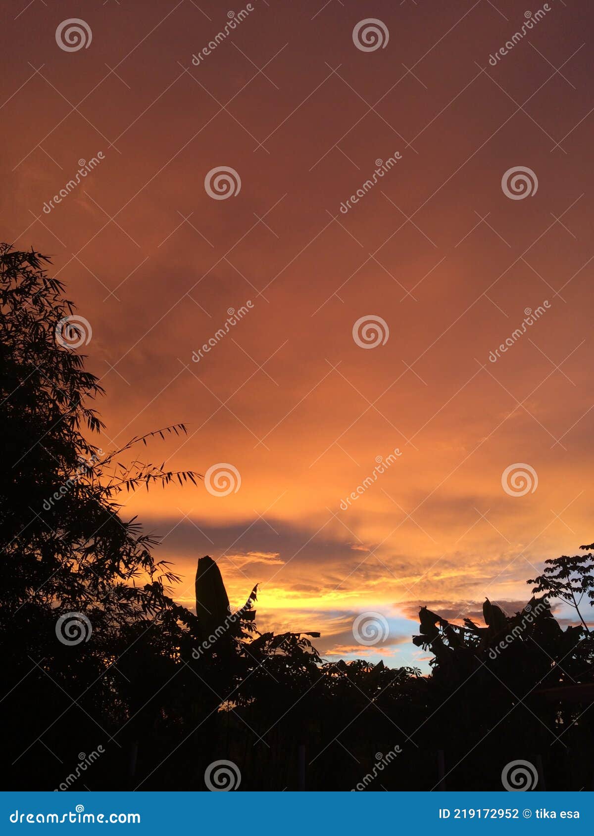 Sunset at 5pm stock photo. Image of lighting, flame - 219172952