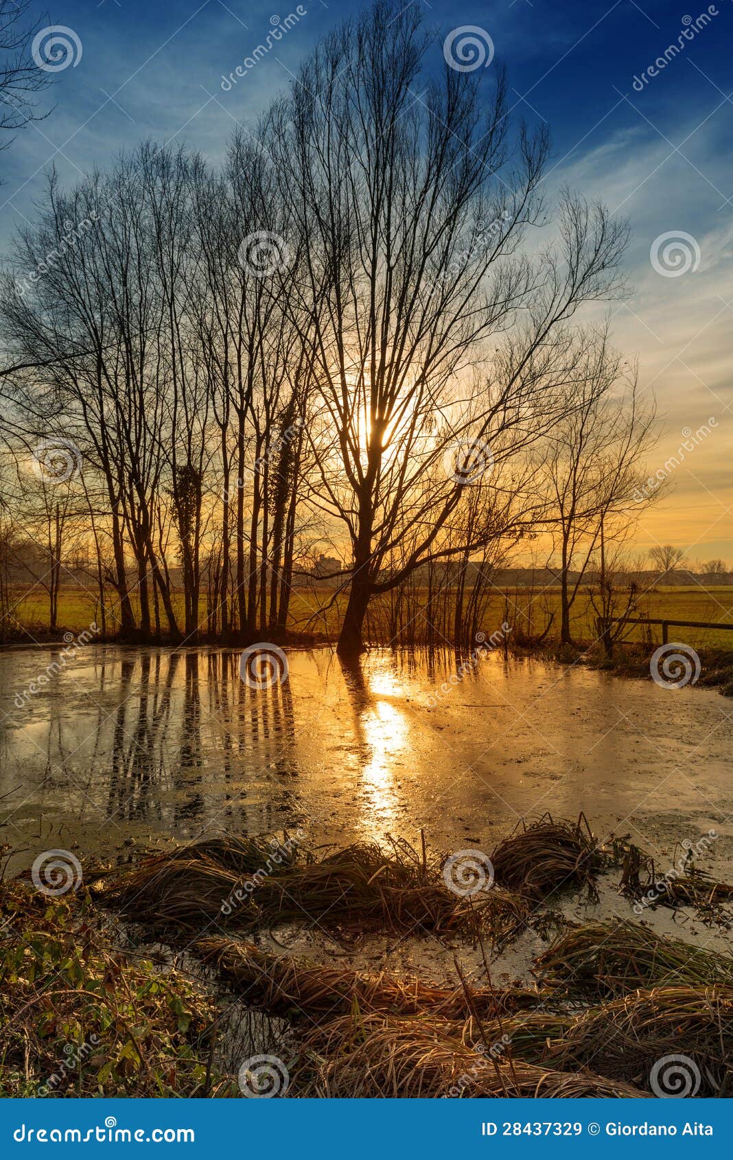 Sunset on pond stock image. Image of rural, smal, countryside - 28437329