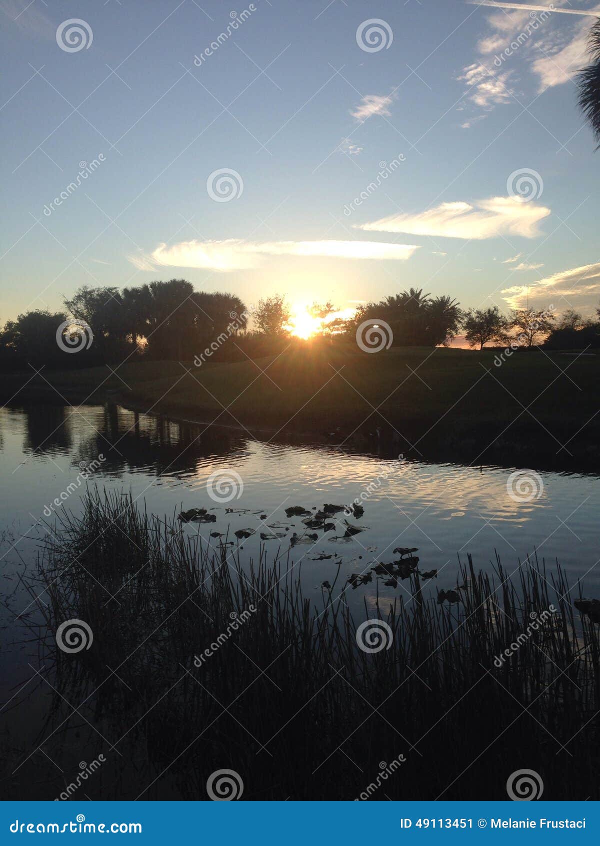 A sunset by a pond stock image. Image of pond, evening - 49113451