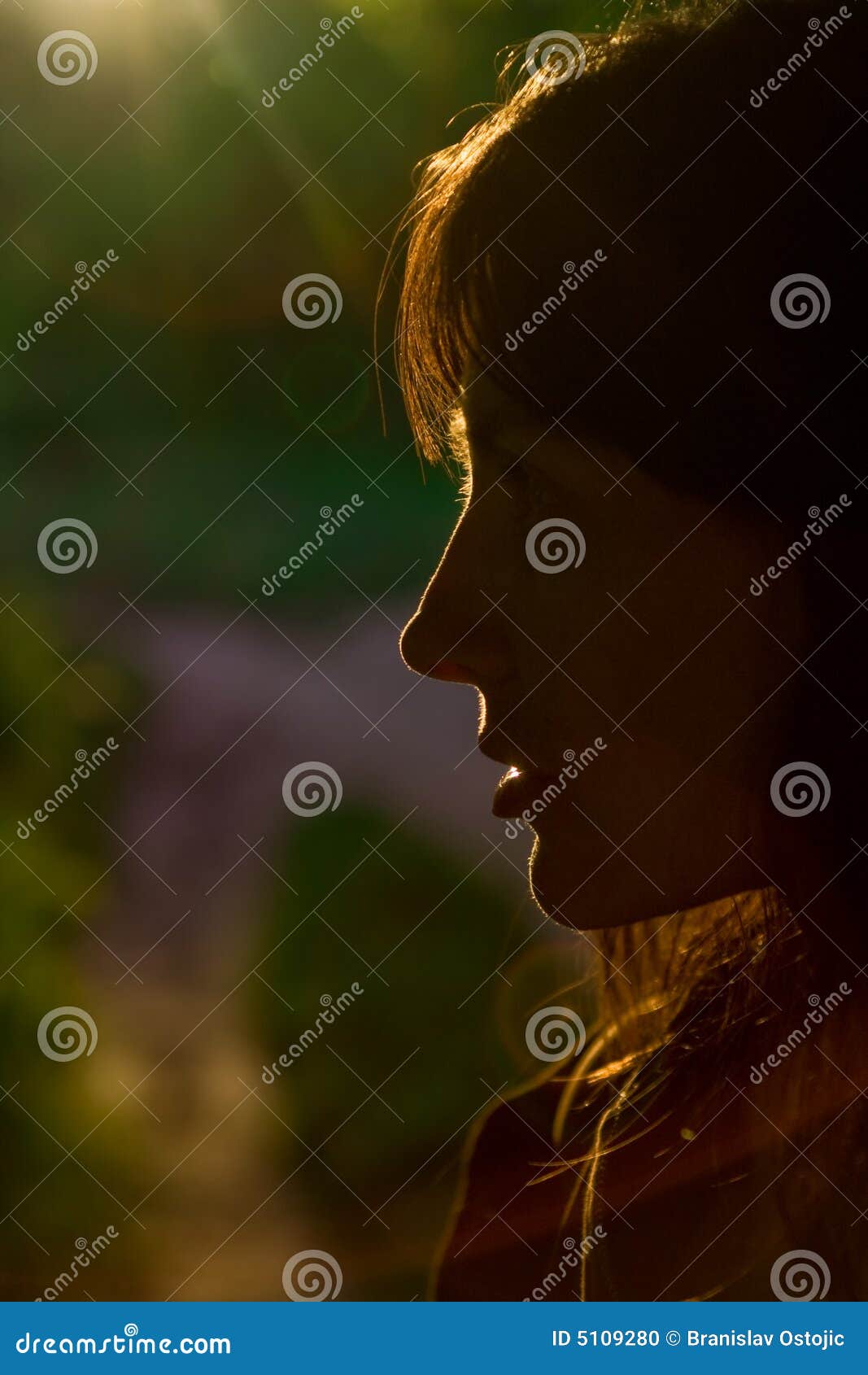 Sunset portrait stock photo. Image of profile, adult, silence - 5109280