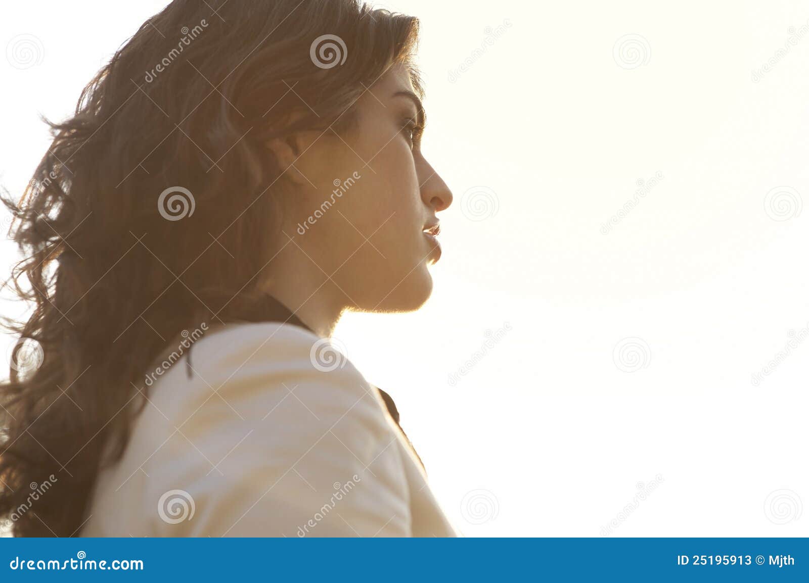 Sunset Profile Flare stock image. Image of feminine, environment - 25195913
