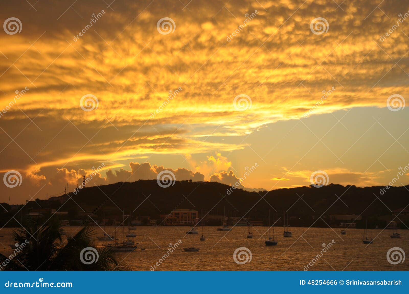 Sunset in Puerto Rico stock photo. Image of side, killer - 48254666