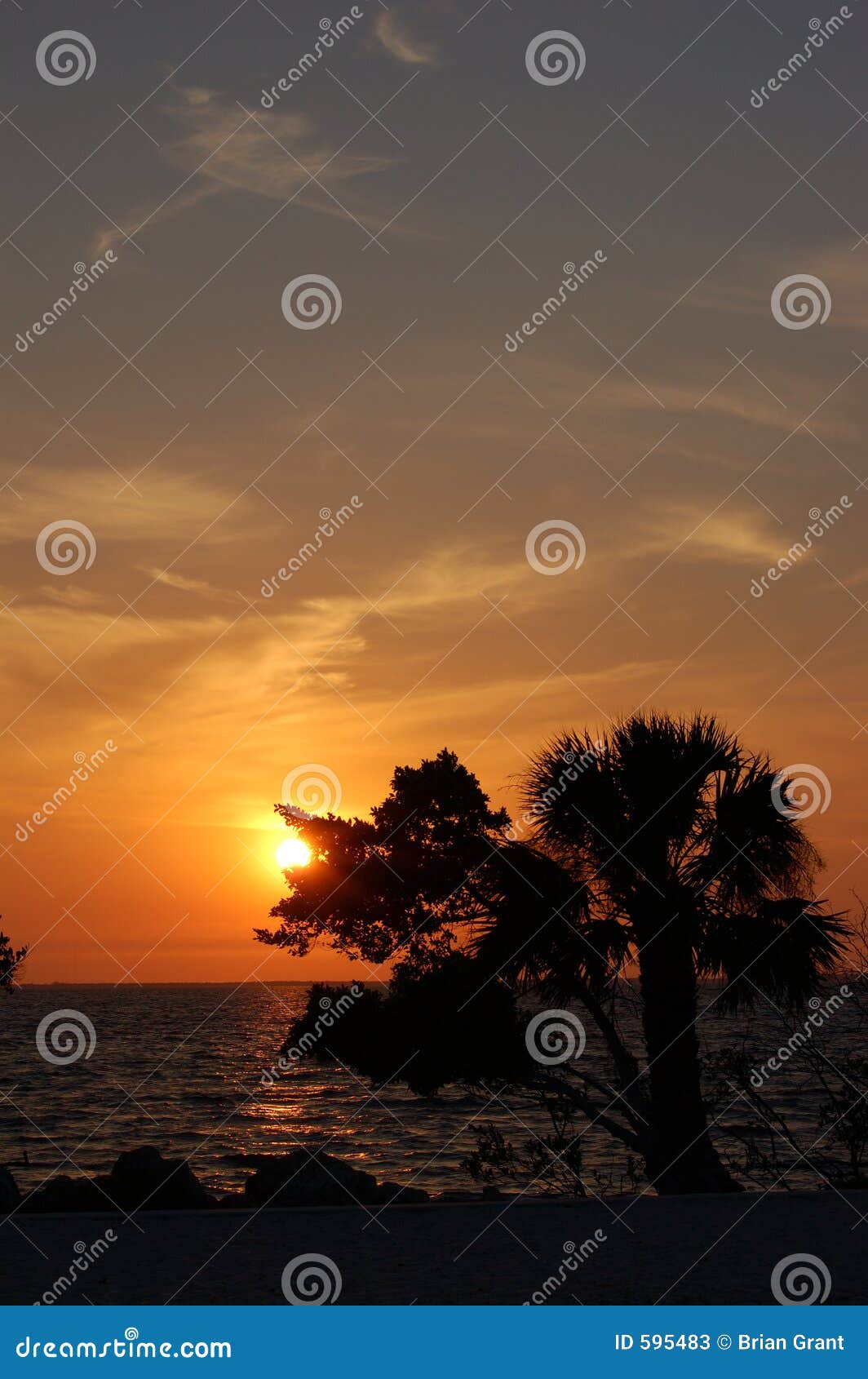Sunset Punta Gorda stock image. Image of harbor, tree, mangrove - 595483
