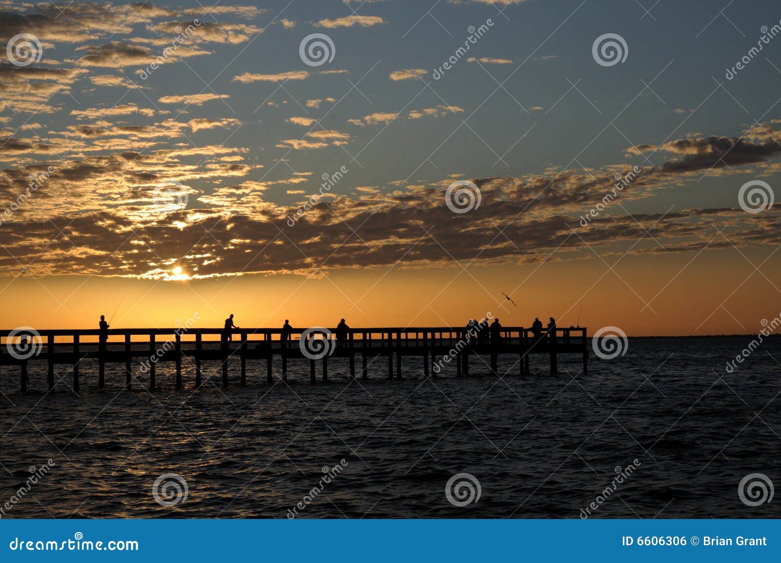 Sunset Punta Gorda stock photo. Image of public, tree - 6606306