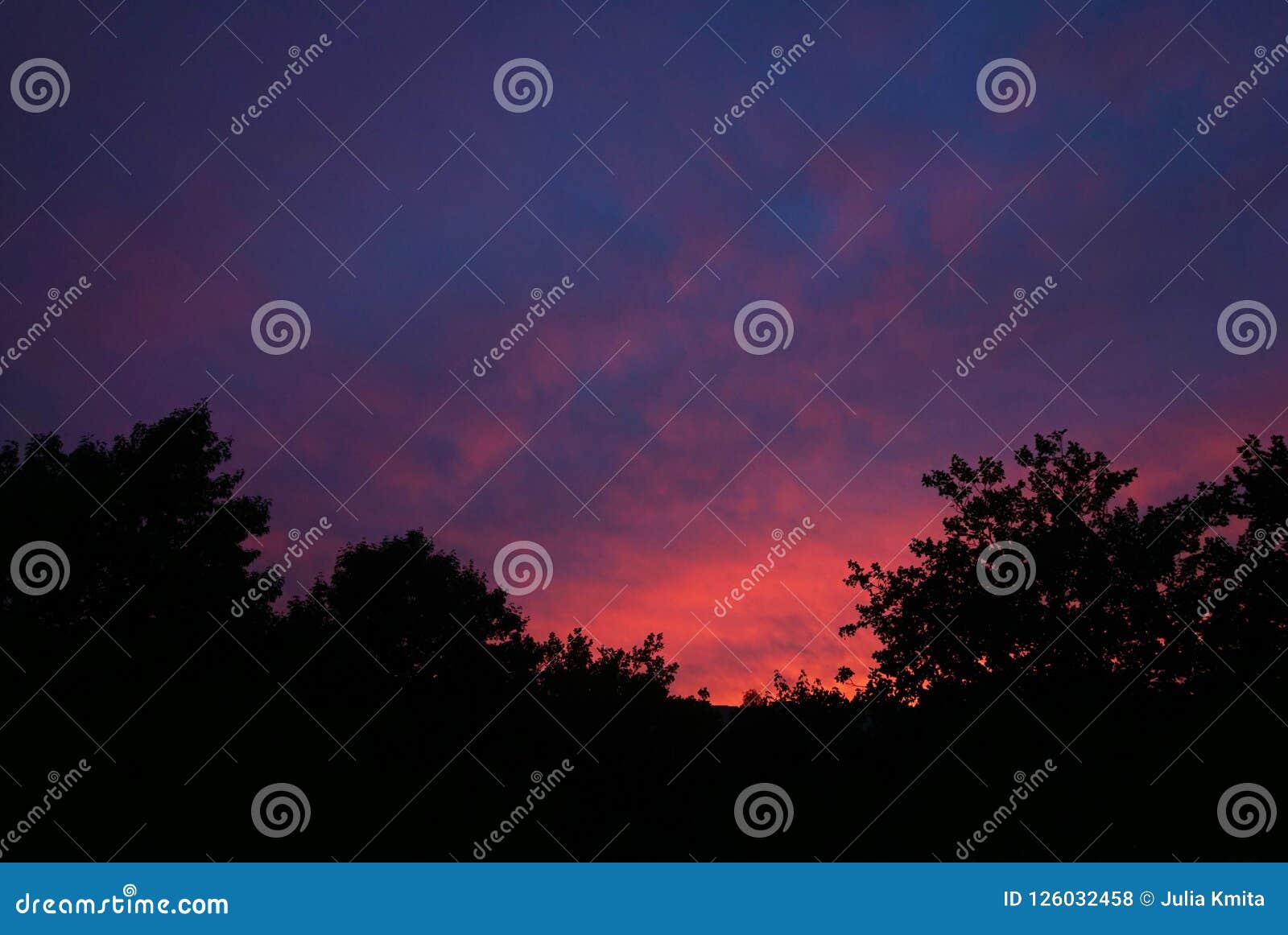 Sunset with Purple Sky and Tree Silhouettes Stock Photo - Image of ...