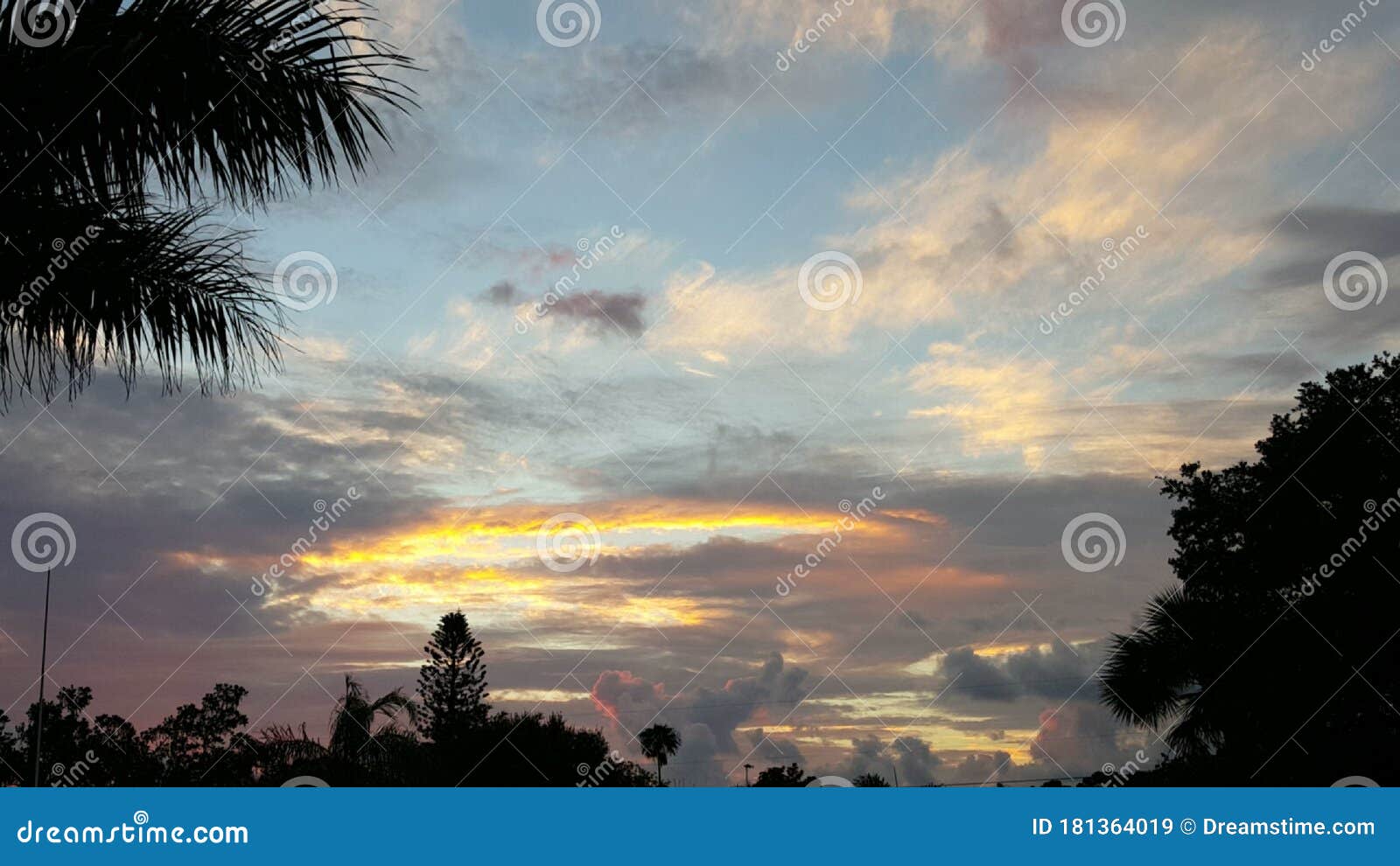 Random Motion Capture Stock Photos - Free & Royalty-Free Stock Photos ...