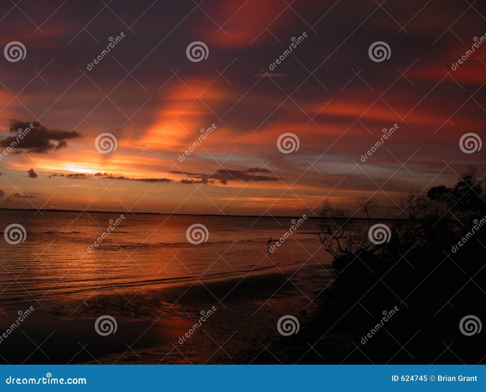 Sunset rays stock image. Image of wading, sunset, harbor - 624745