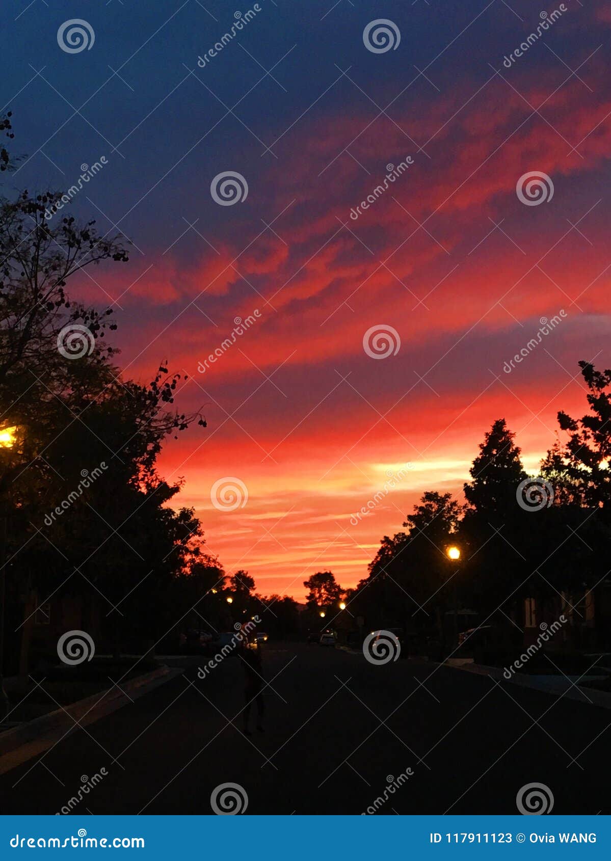 Sunset stock image. Image of sunset, colour, senery - 117911123