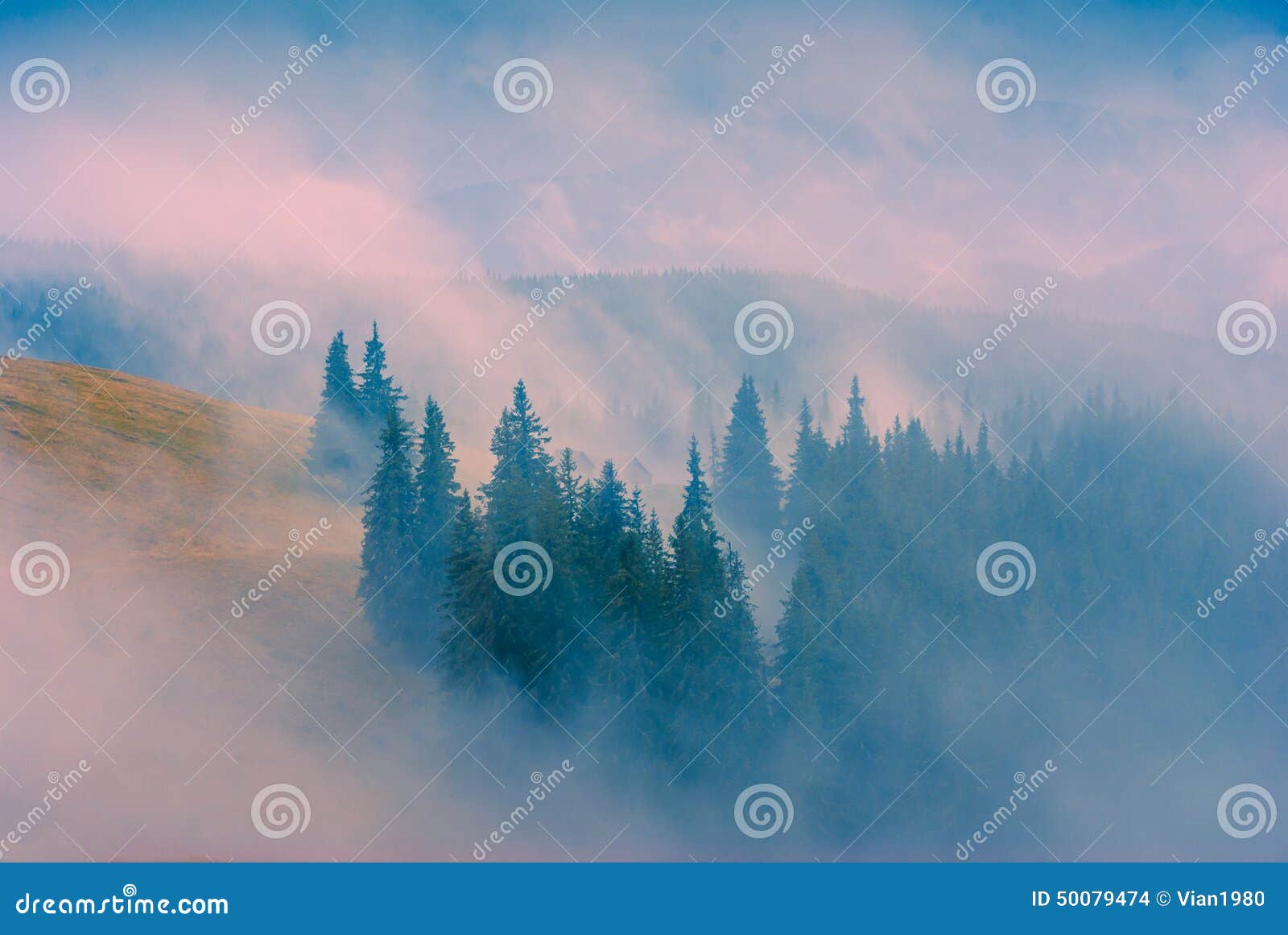 Sunset red light stock photo. Image of nature, morning - 50079474