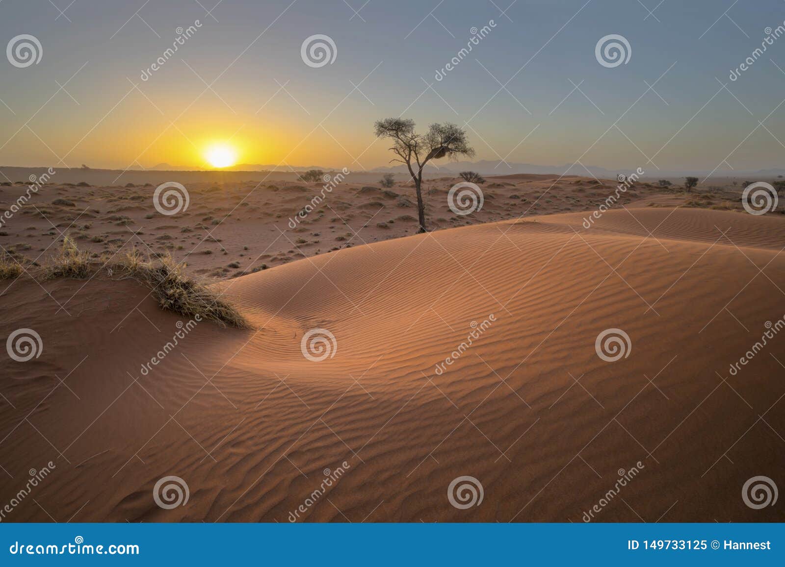 Sunset at red sand dune stock image. Image of dunes - 149733125