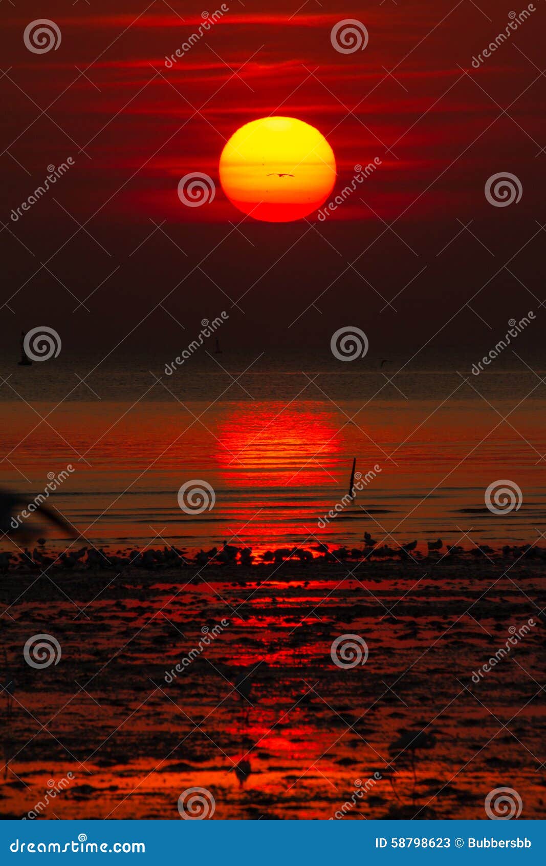 Sunset with red sky stock image. Image of orange, clouds - 58798623