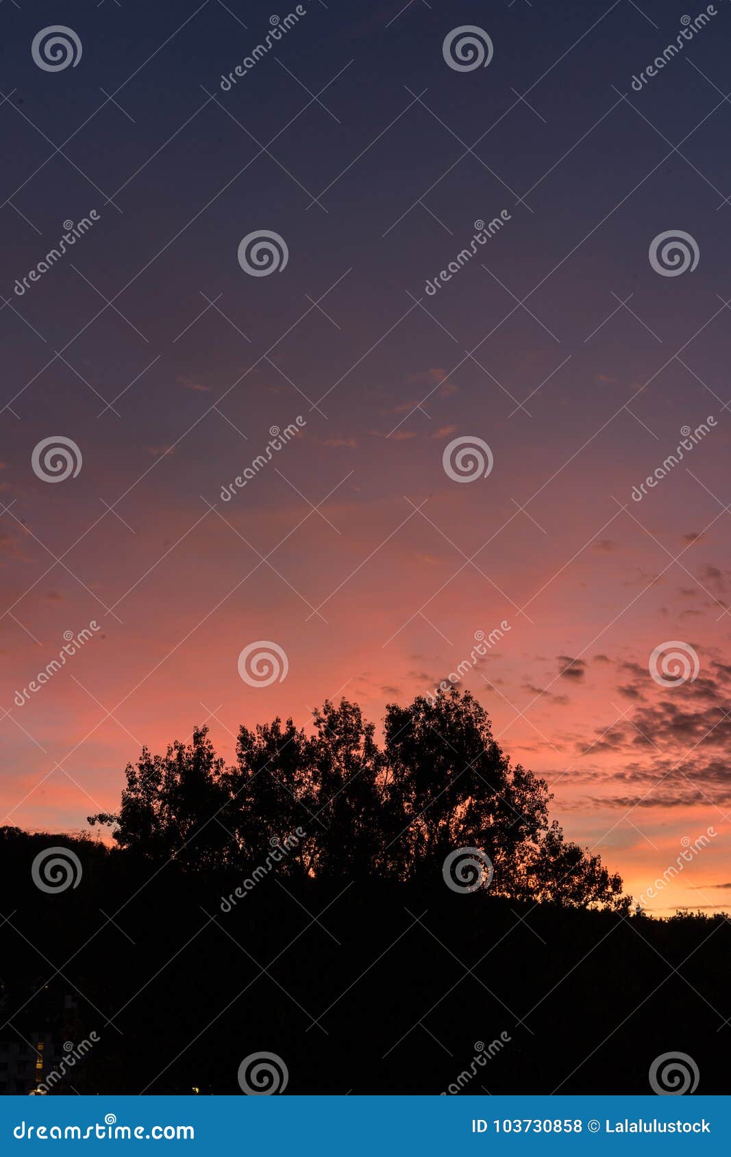 Sunset with Red and Violet Sky and Tree Stock Photo - Image of dramatic ...