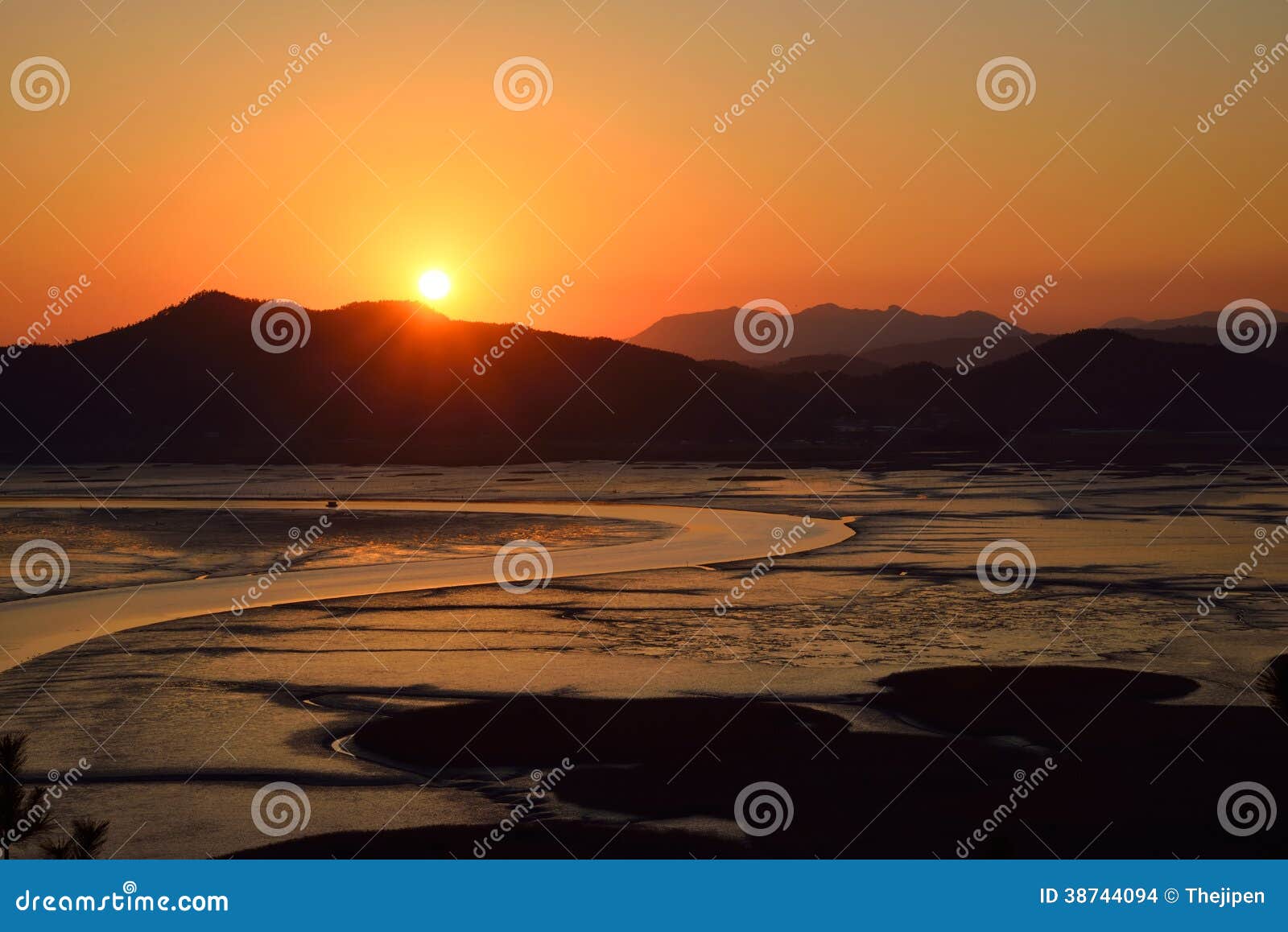 Sunset of Reeds Field in Suncheon Bay Stock Photo - Image of swamp ...