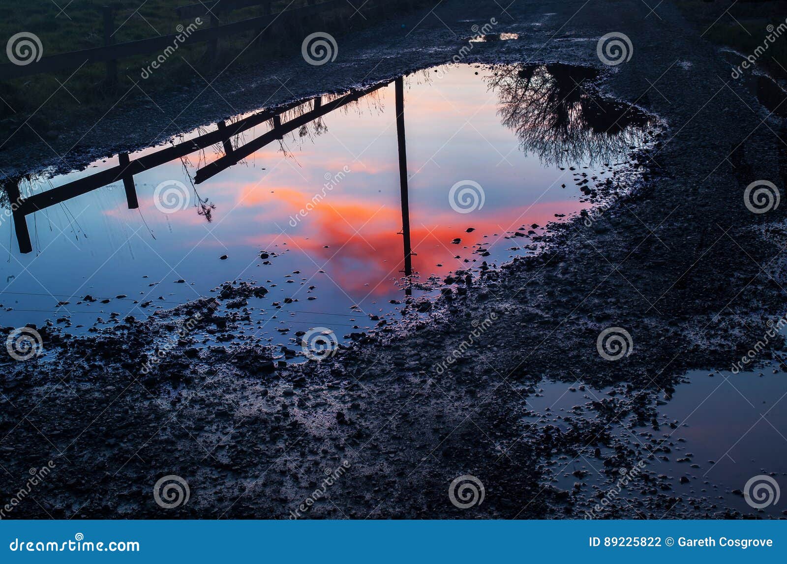 Sunset Reflecting on Puddle Stock Photo - Image of outside, reflecting ...