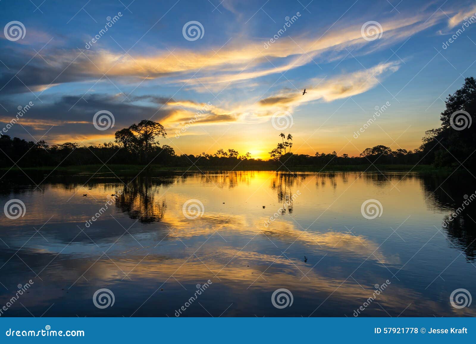 Sunset and Reflection in the Amazon Stock Photo - Image of lake ...