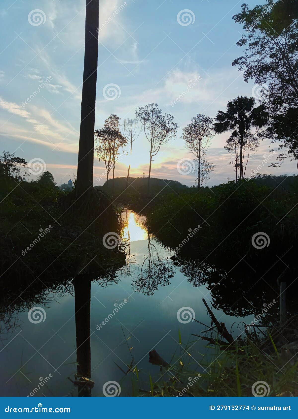 Sunset Reflection and Silhouette of Trees Stock Photo - Image of sunset ...