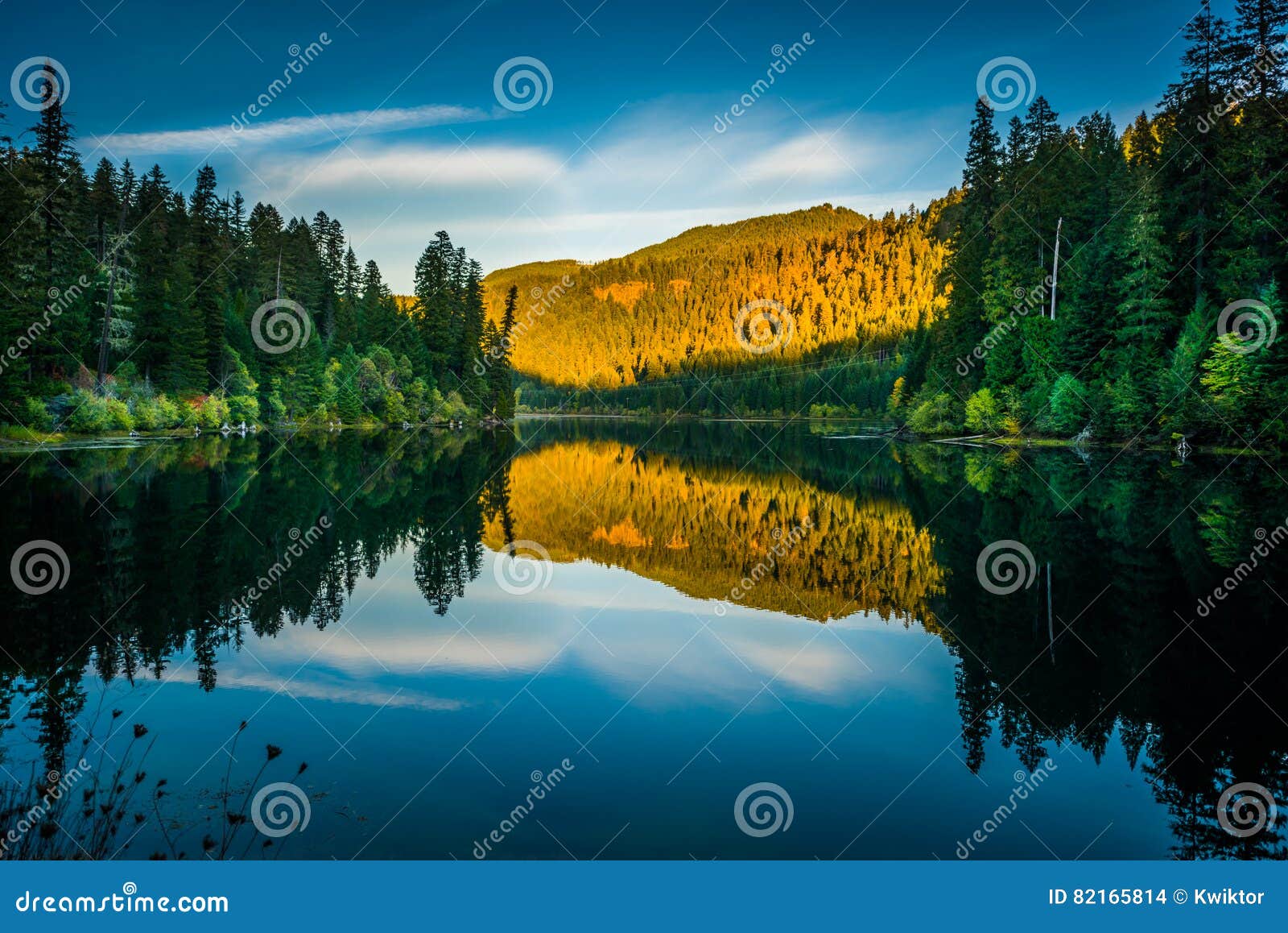 Sunset Reflection Toketee Lake Umpqua River Oregon Stock Photo - Image ...