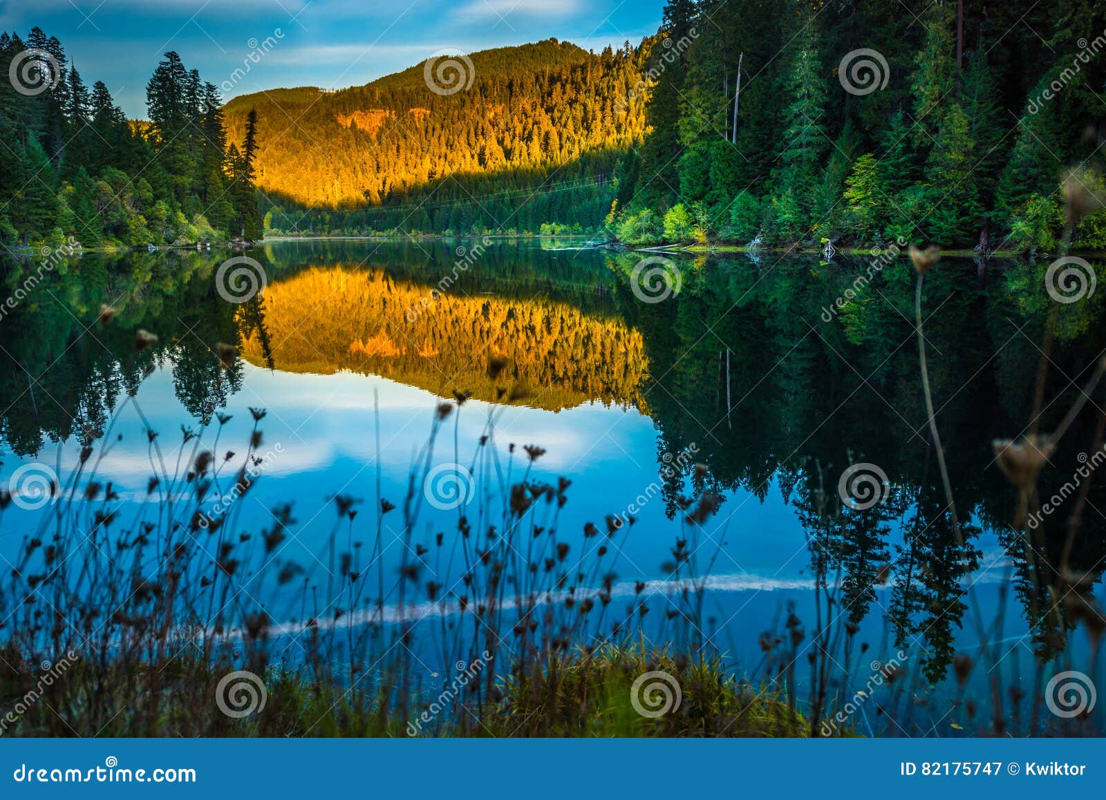 Sunset Reflection Toketee Lake Umpqua River Oregon Stock Image - Image ...