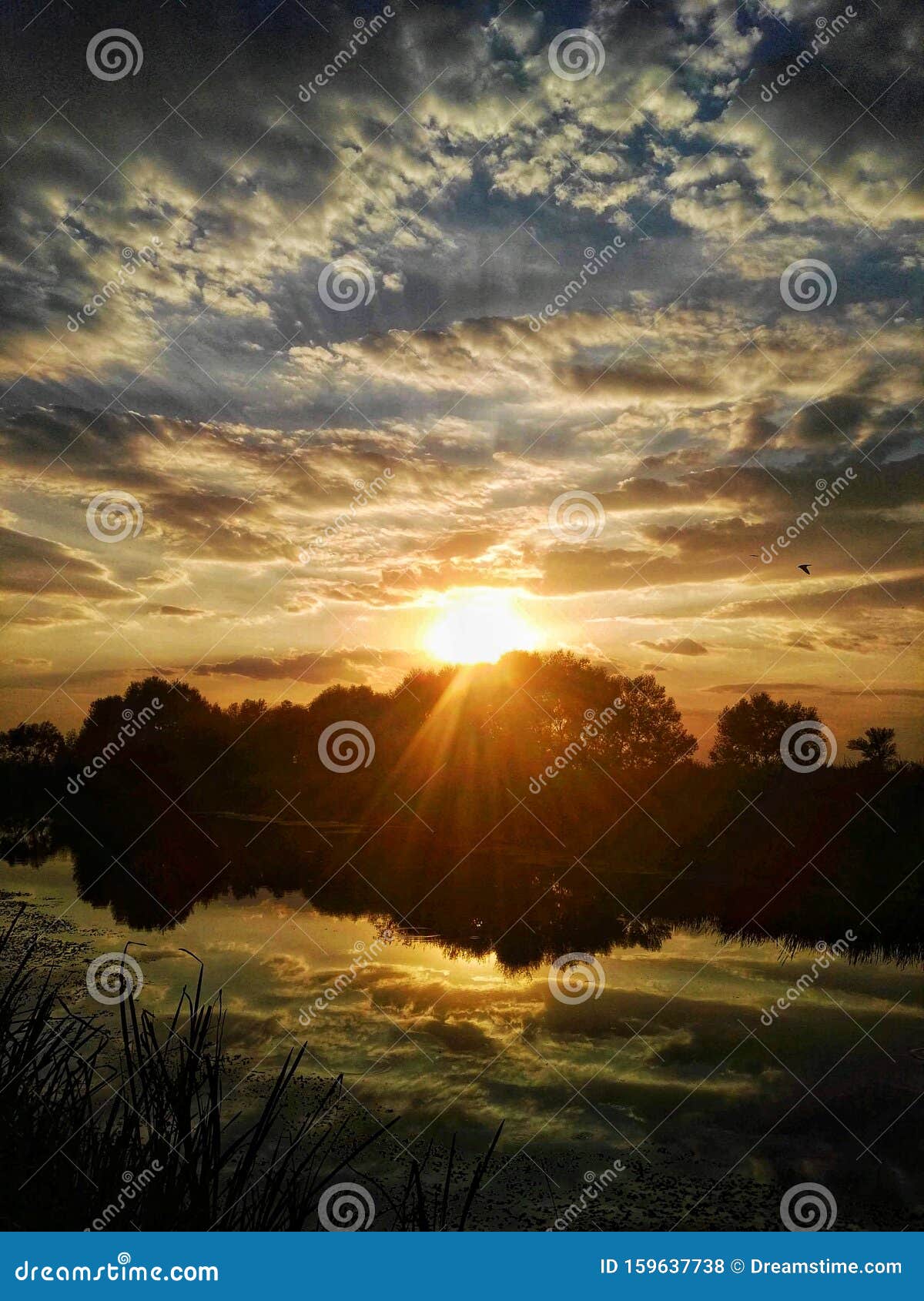 Sunset with Reflection in Water Stock Photo - Image of reflection ...