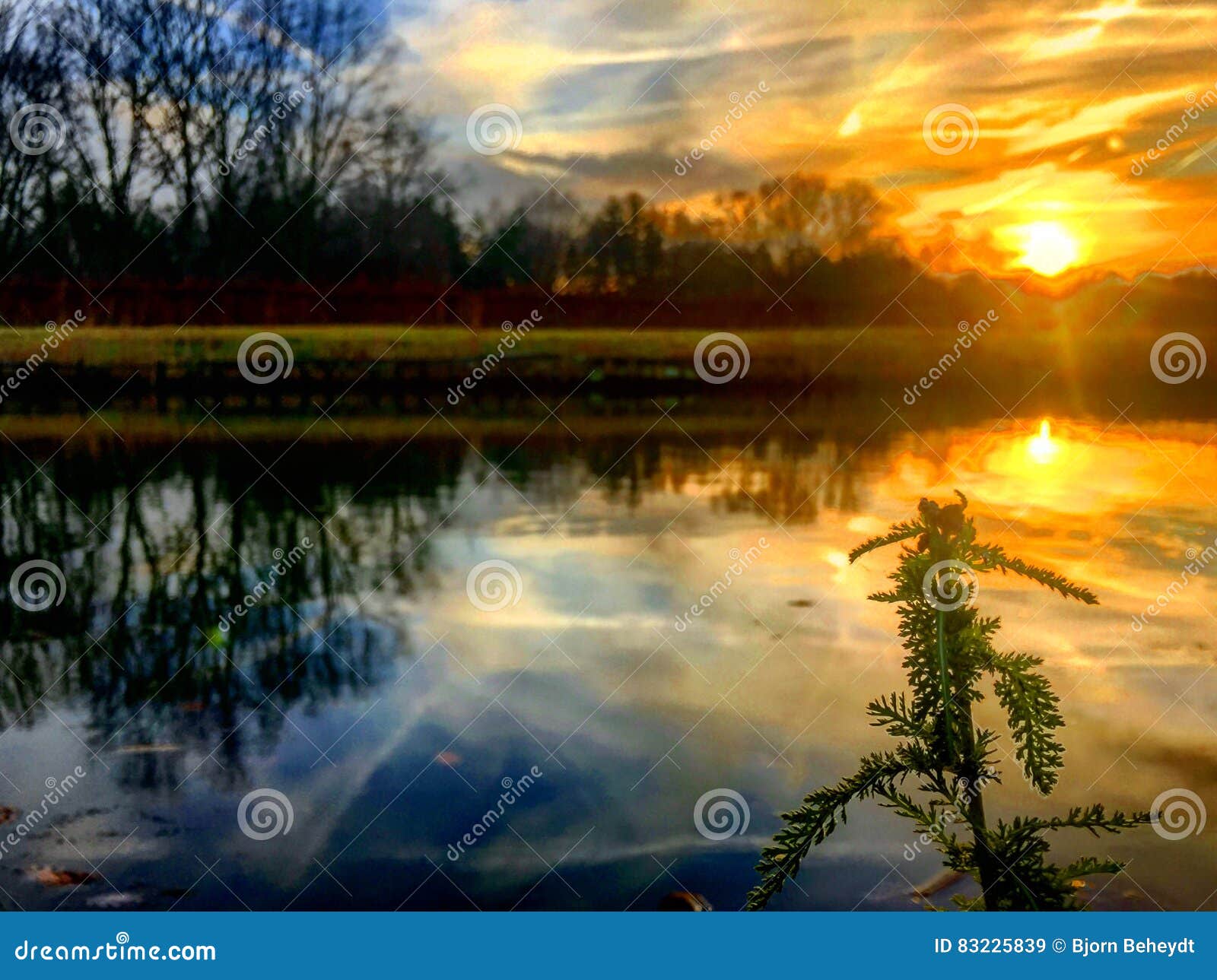 Sunset reflections stock image. Image of reflected, river - 83225839