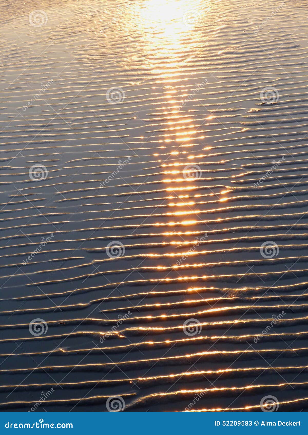 Sunset Reflections on Wet Sand Stock Image - Image of golden, damp ...