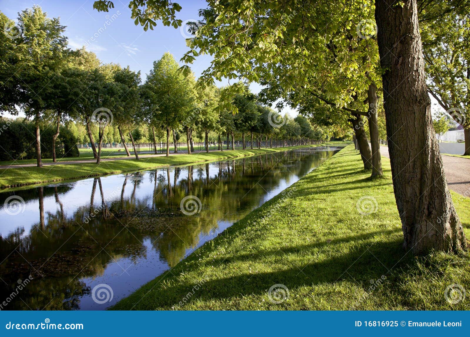 Sunset reflective trees stock image. Image of landscape - 16816925