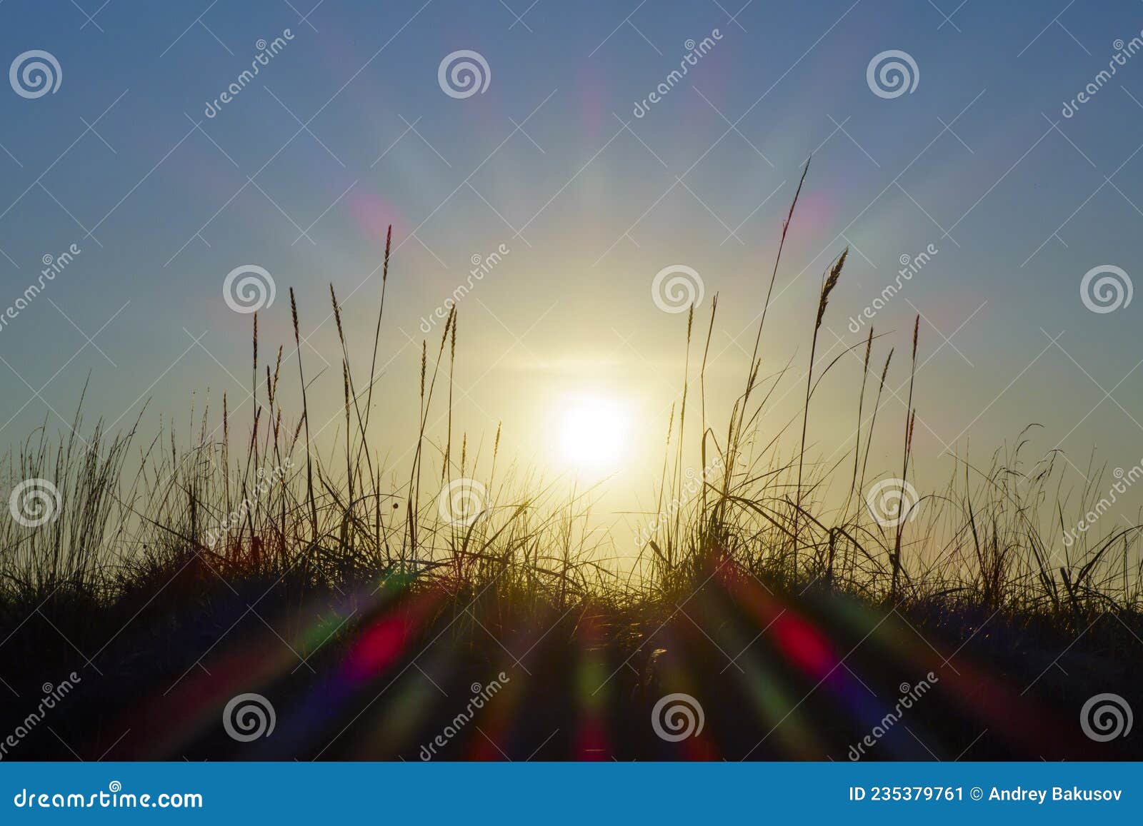 Sunset and the Refraction of Light Beams with Multi-colored Flowers ...