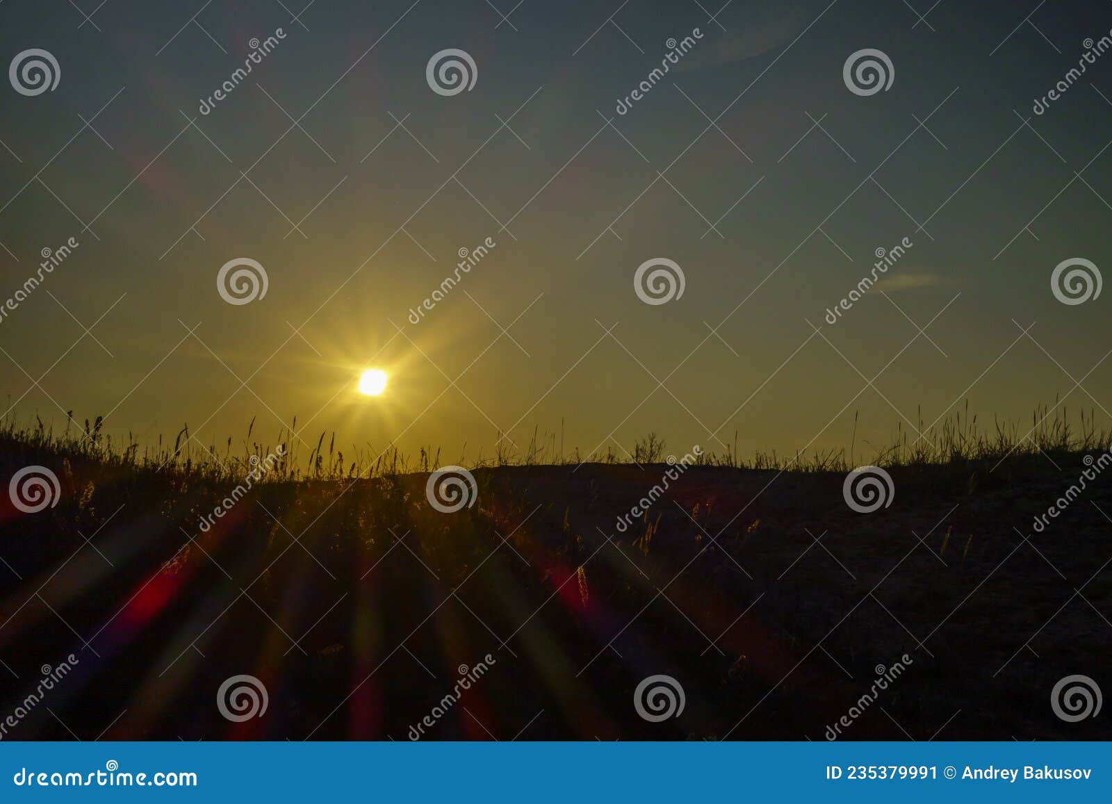 Sunset and the Refraction of Light Beams with Multi-colored Flowers ...