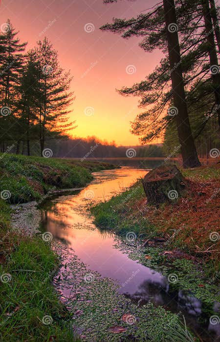 Sunset on a Remote Forest Lake Stock Image - Image of shore, rural ...