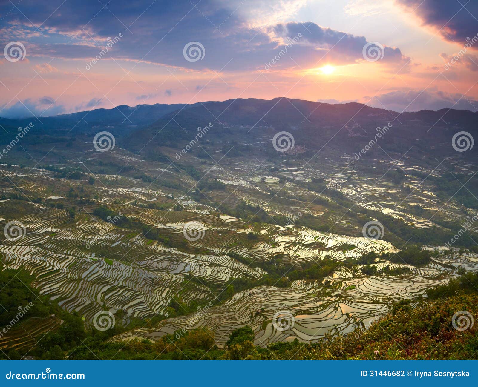 Sunset at rice terraces stock photo. Image of landscaped - 31446682