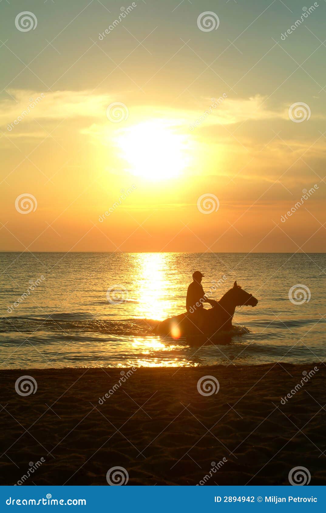 Sunset Riding stock photo. Image of travel, horse, riding - 2894942