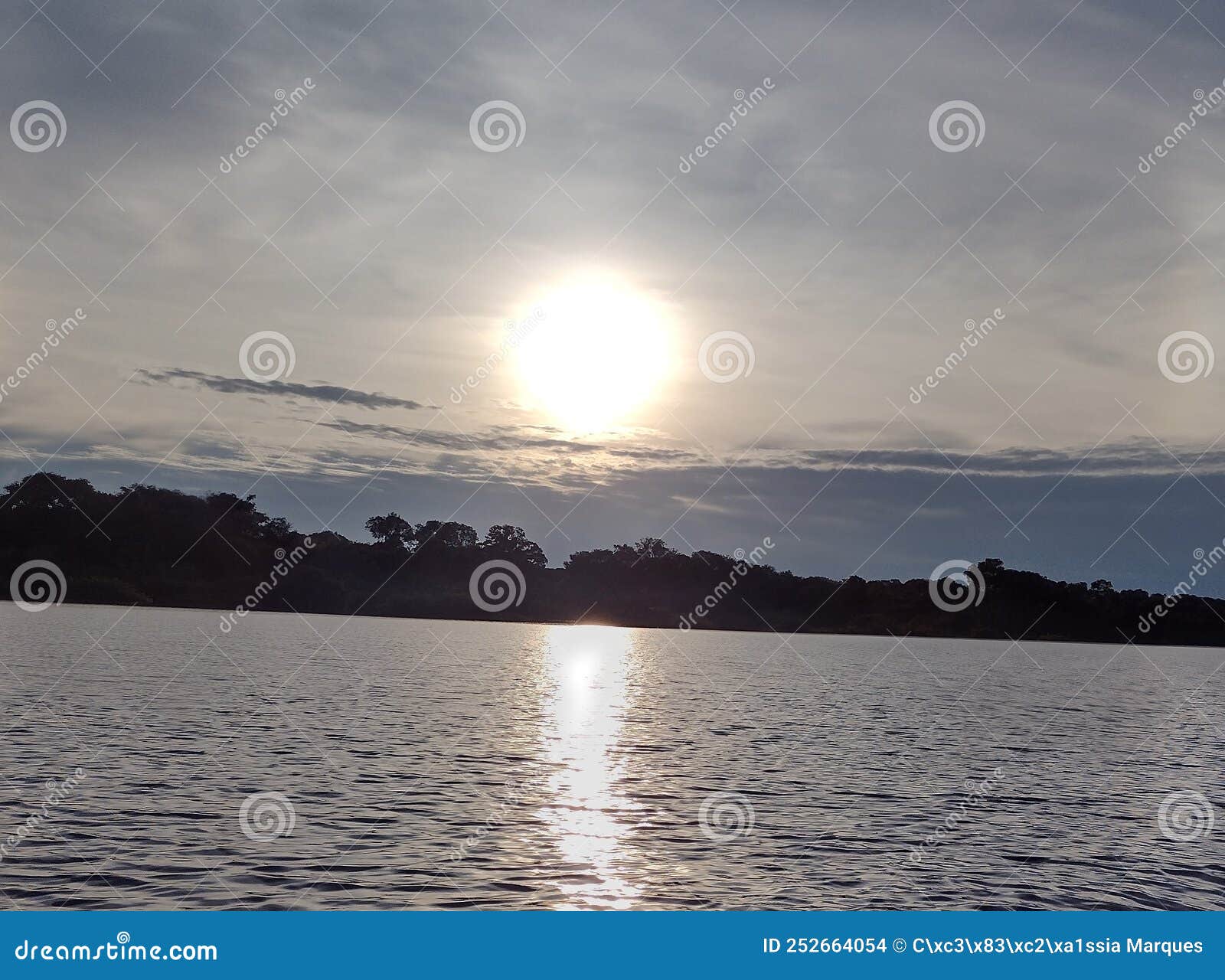 Sunset in the Amazon Rainforest Stock Photo - Image of river, wild ...